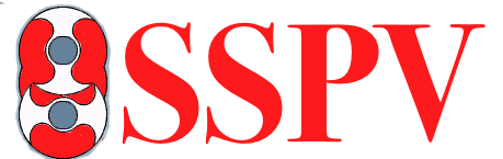 Stainless Steel Pumps & Valves - Stainless Steel Pump & Values